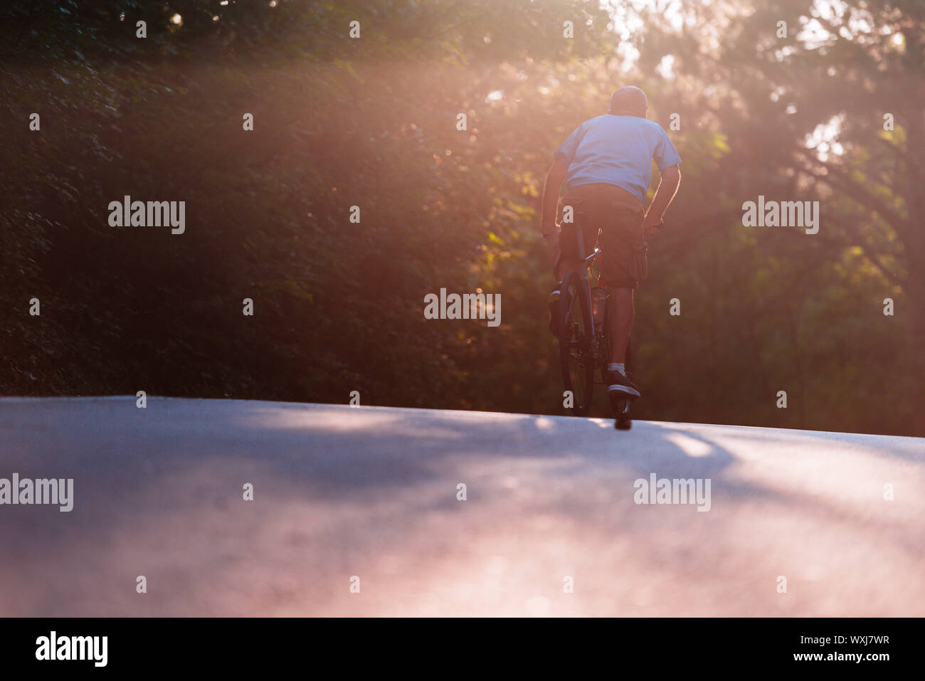 Male cyclist riding his bike on sunset on a road through deep woods ...