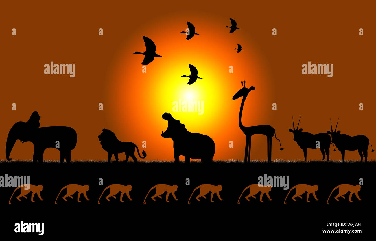 Picture of animals of Africa on sunset Stock Photo - Alamy