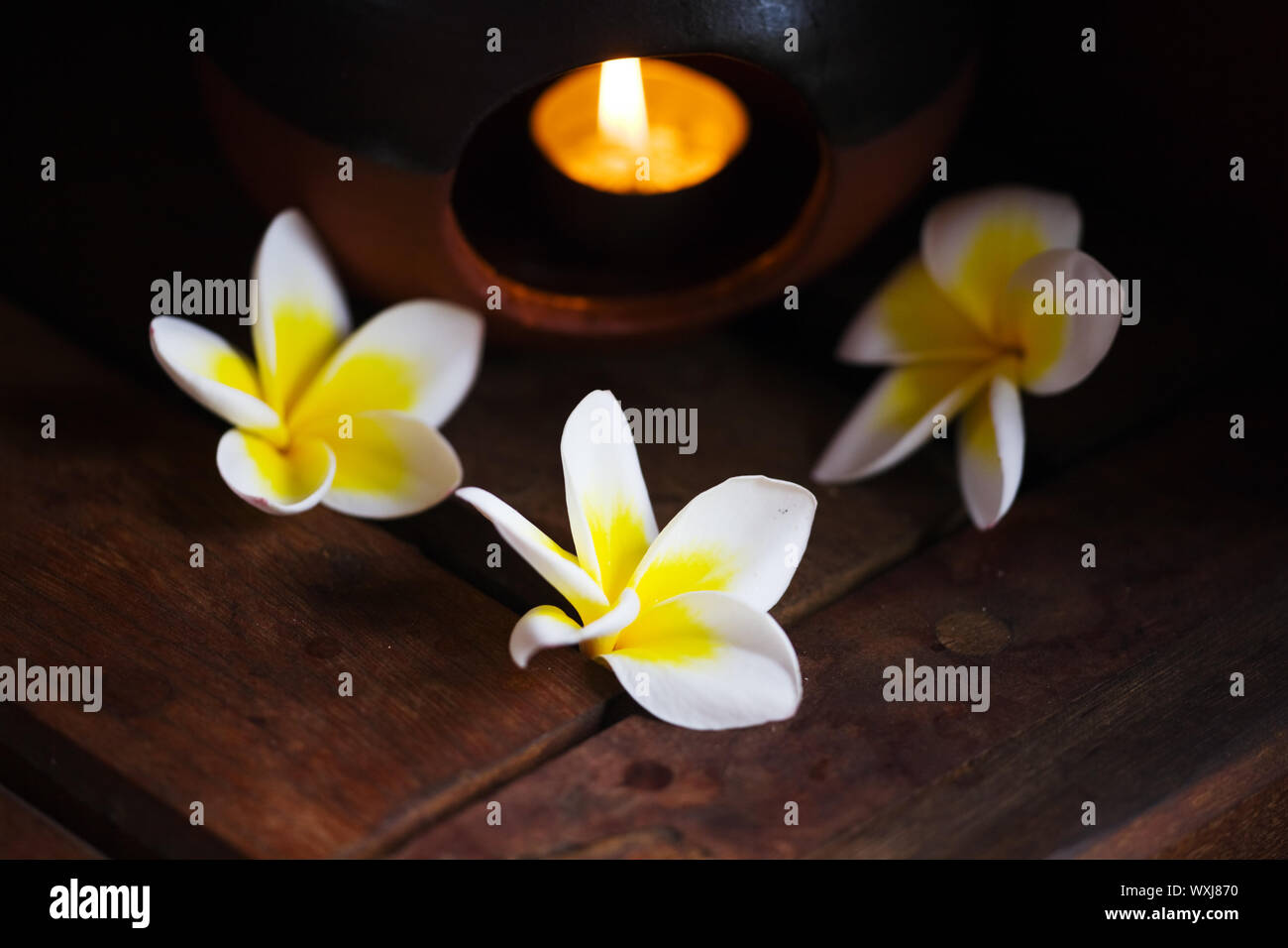 SPA Details. Frangipani flowers and candle Stock Photo - Alamy