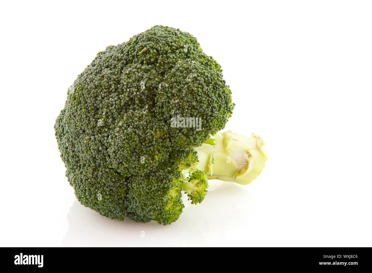 Fresh stump broccoli vegetables isolated over white Stock Photo - Alamy