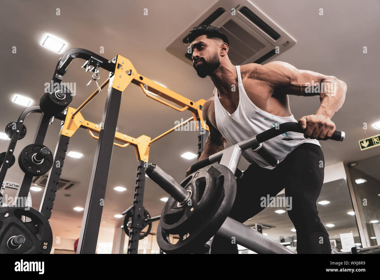 Muscular men exercising with weights. He is performing T bar rows for ...