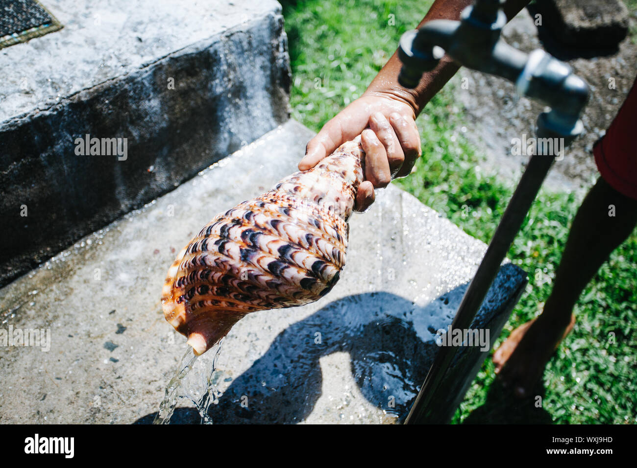 Man rinsing a seashell under an outdoor tap, Seychelles Stock Photo - Alamy