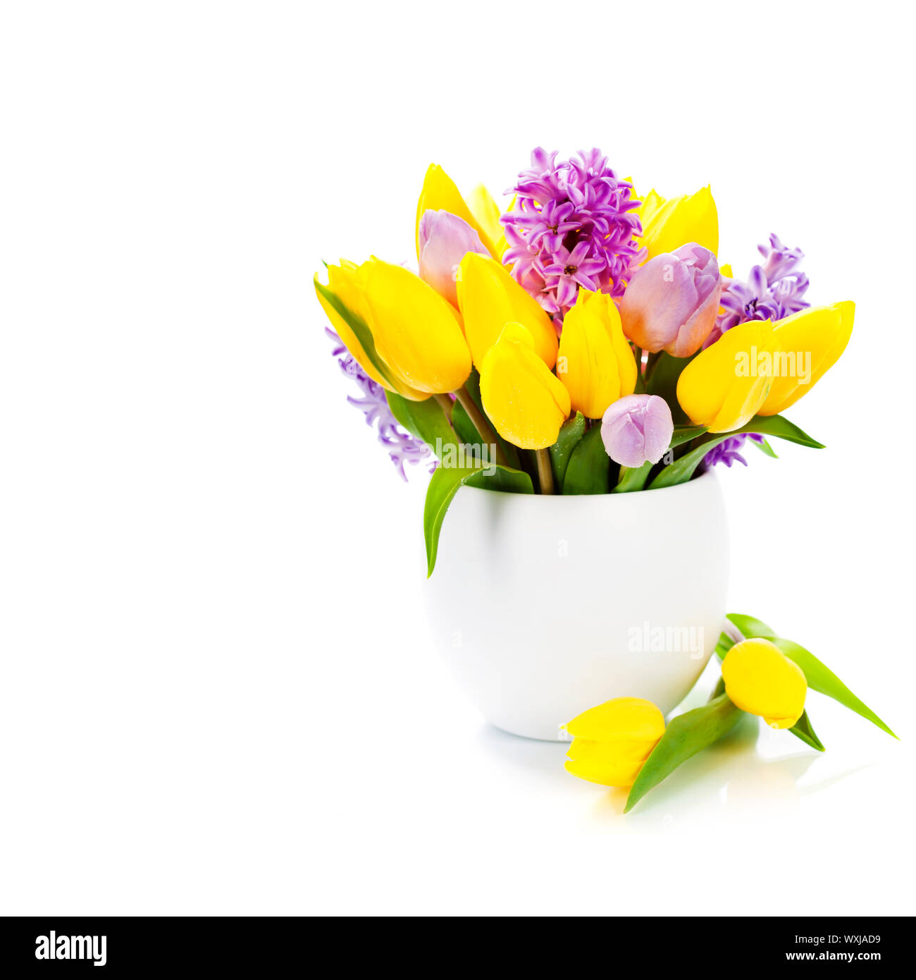 Beautiful spring flowers in vase over white Stock Photo - Alamy