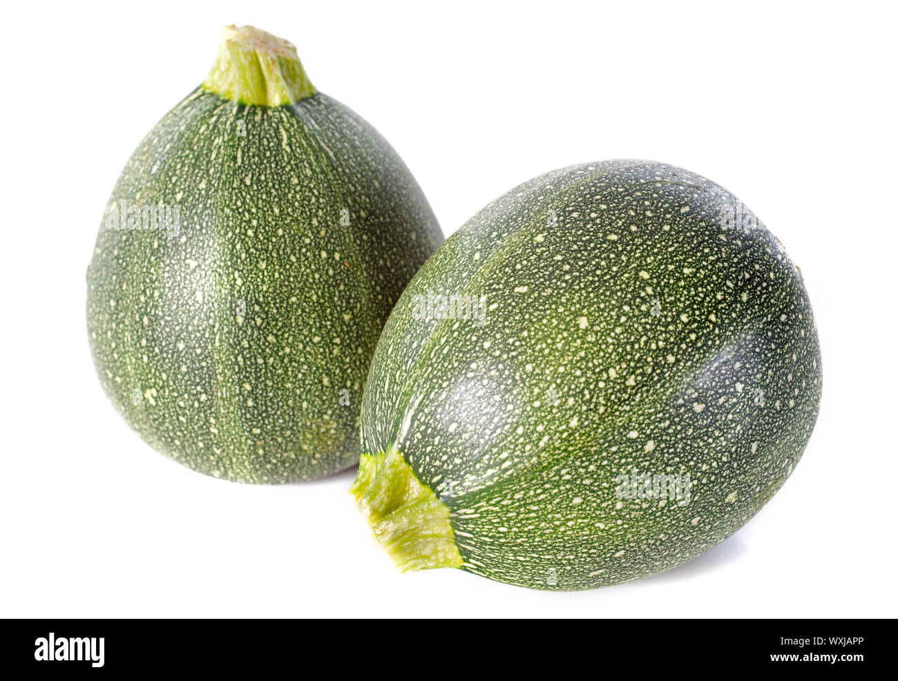 round zucchini in front of white background Stock Photo - Alamy