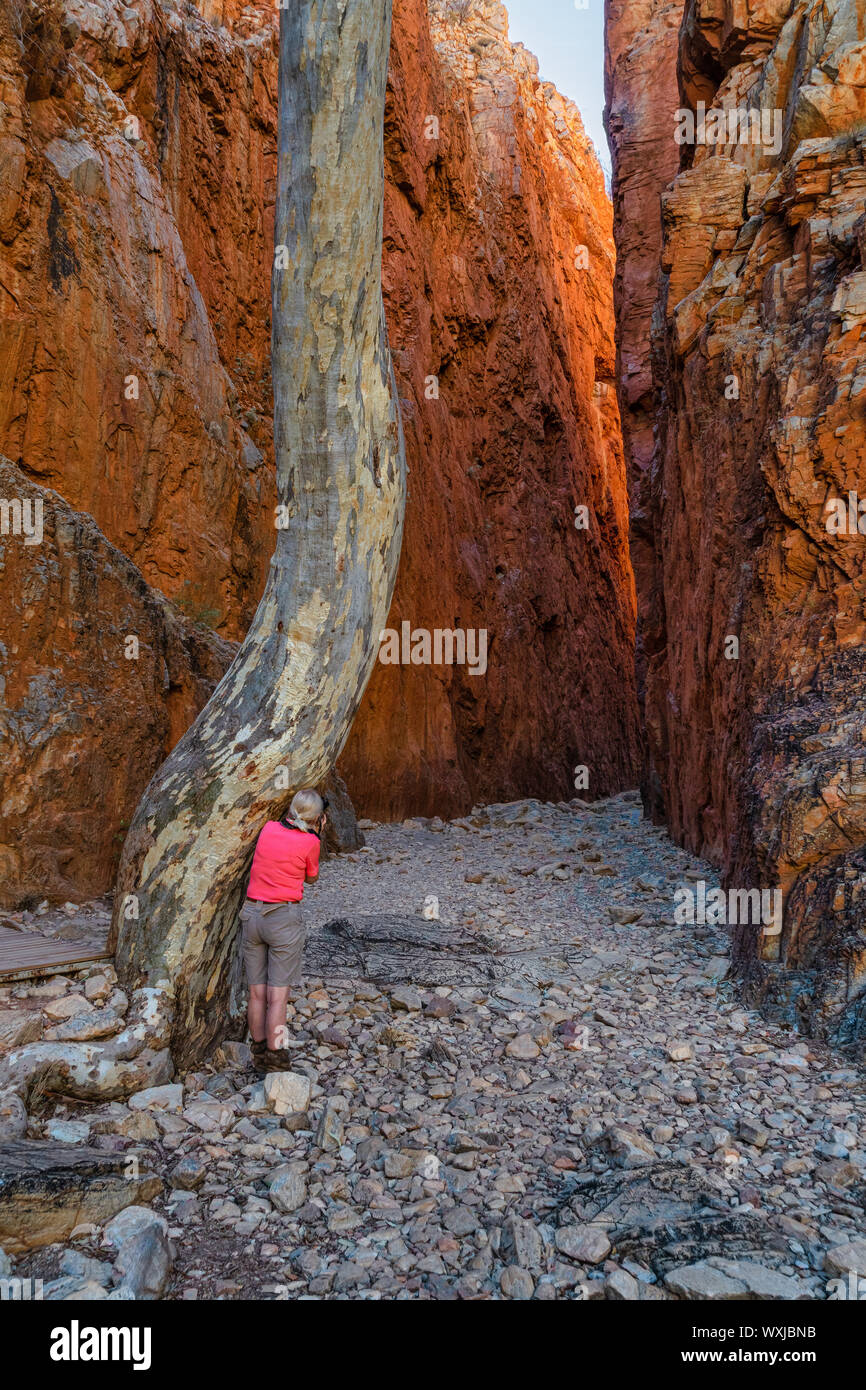 Woman taking a photograph, Standley Chasm, West MacDonnell National ...