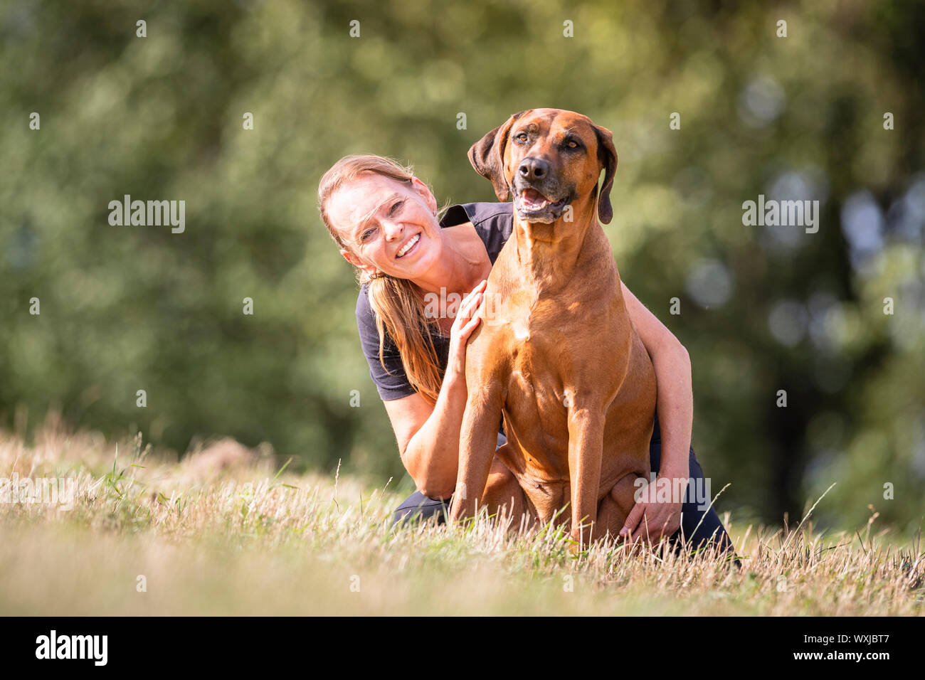 Woman rhodesian ridgeback hi-res stock photography and images - Alamy