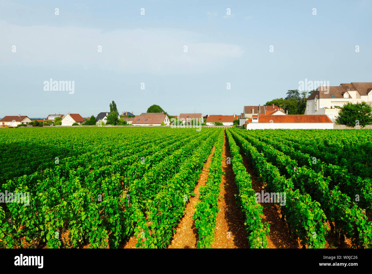 Gevrey chambertin village wine hi-res stock photography and images - Alamy
