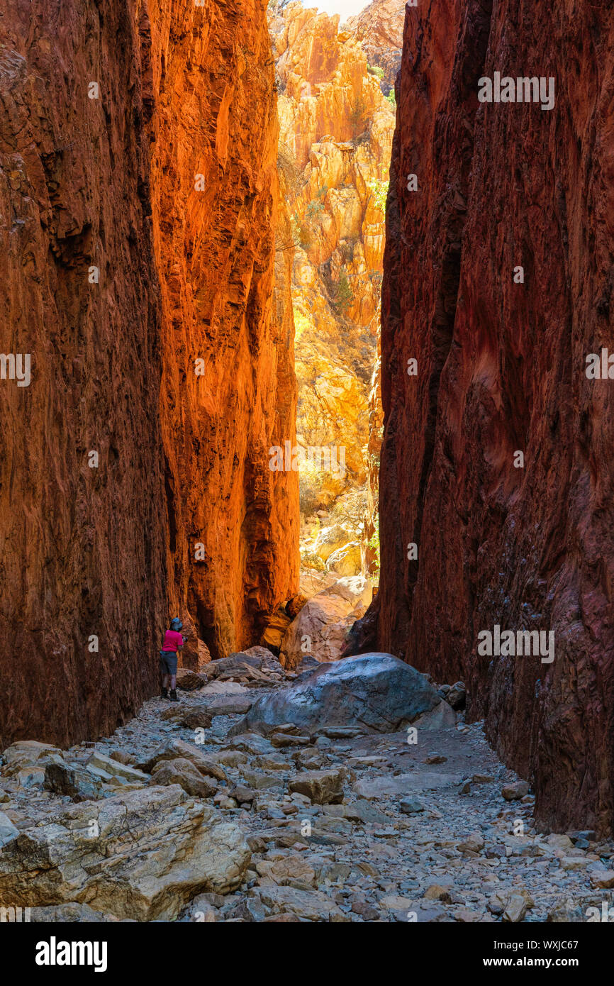 Woman taking a photograph, Standley Chasm, West MacDonnell National ...