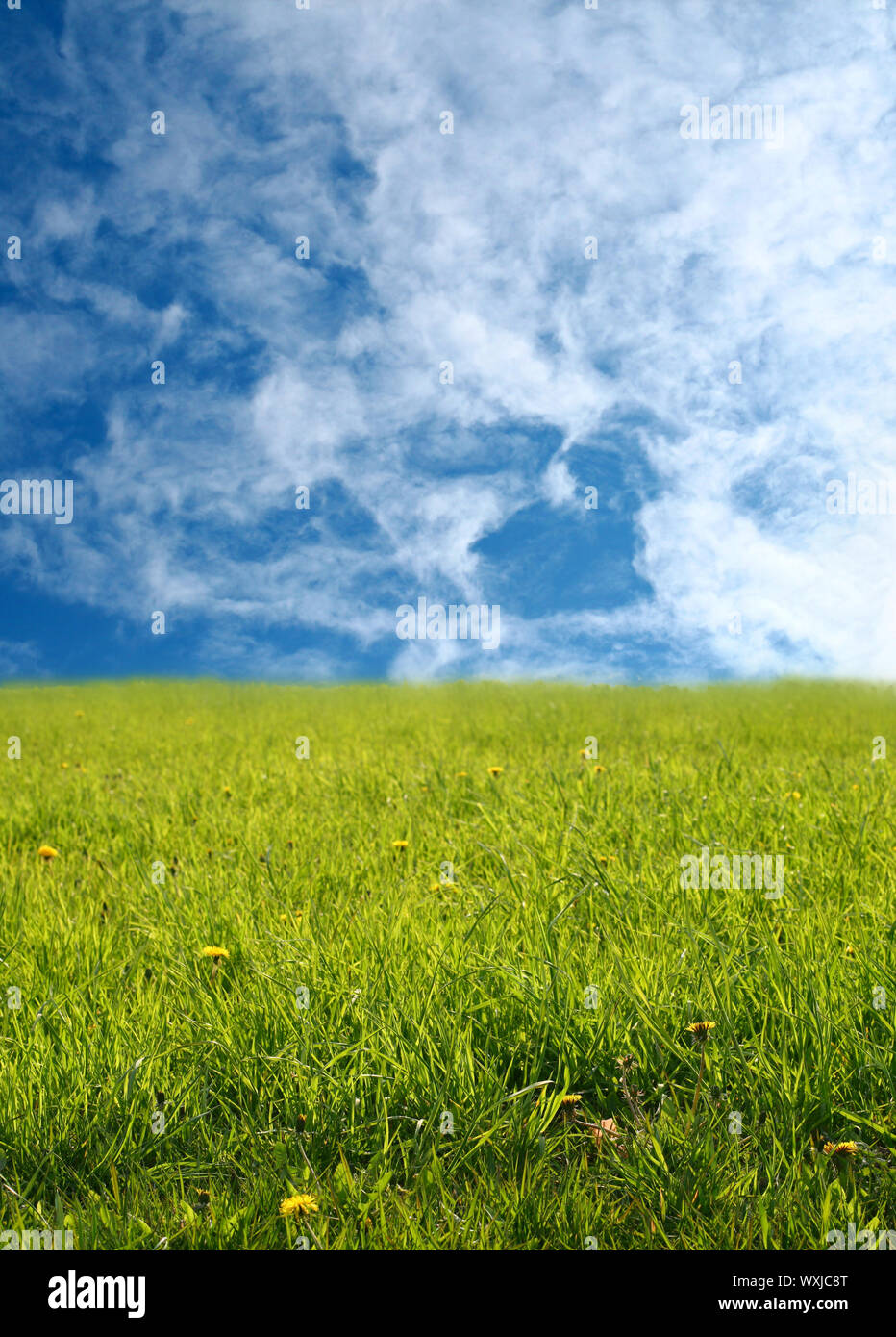 happy landscape sky and grass Stock Photo - Alamy