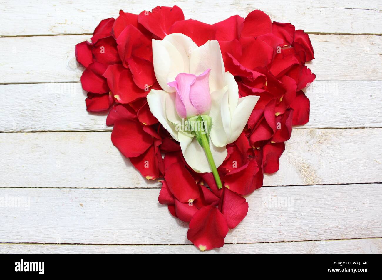 The picture shows a heart of rose petals Stock Photo - Alamy