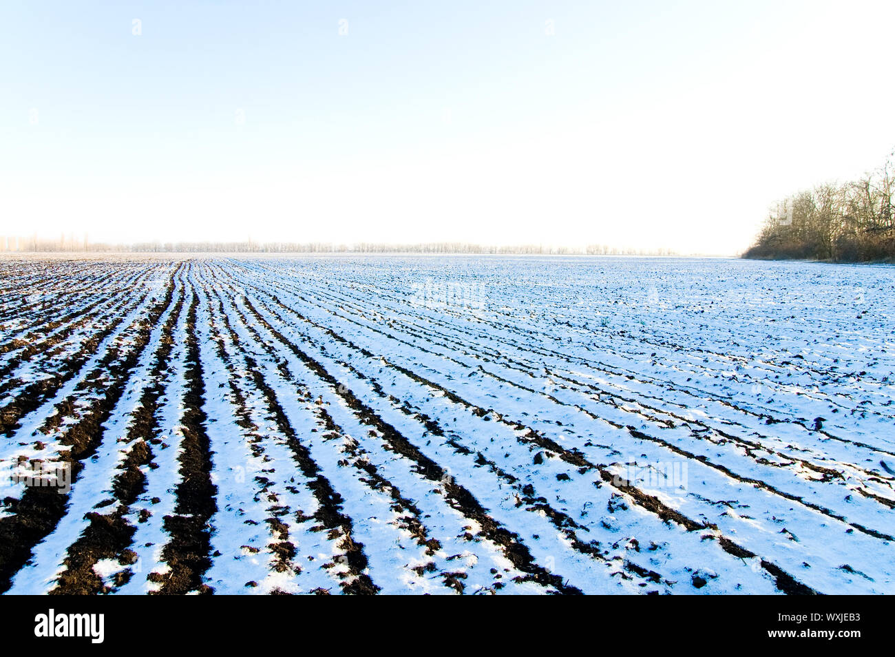 winter field covering snow Stock Photo - Alamy