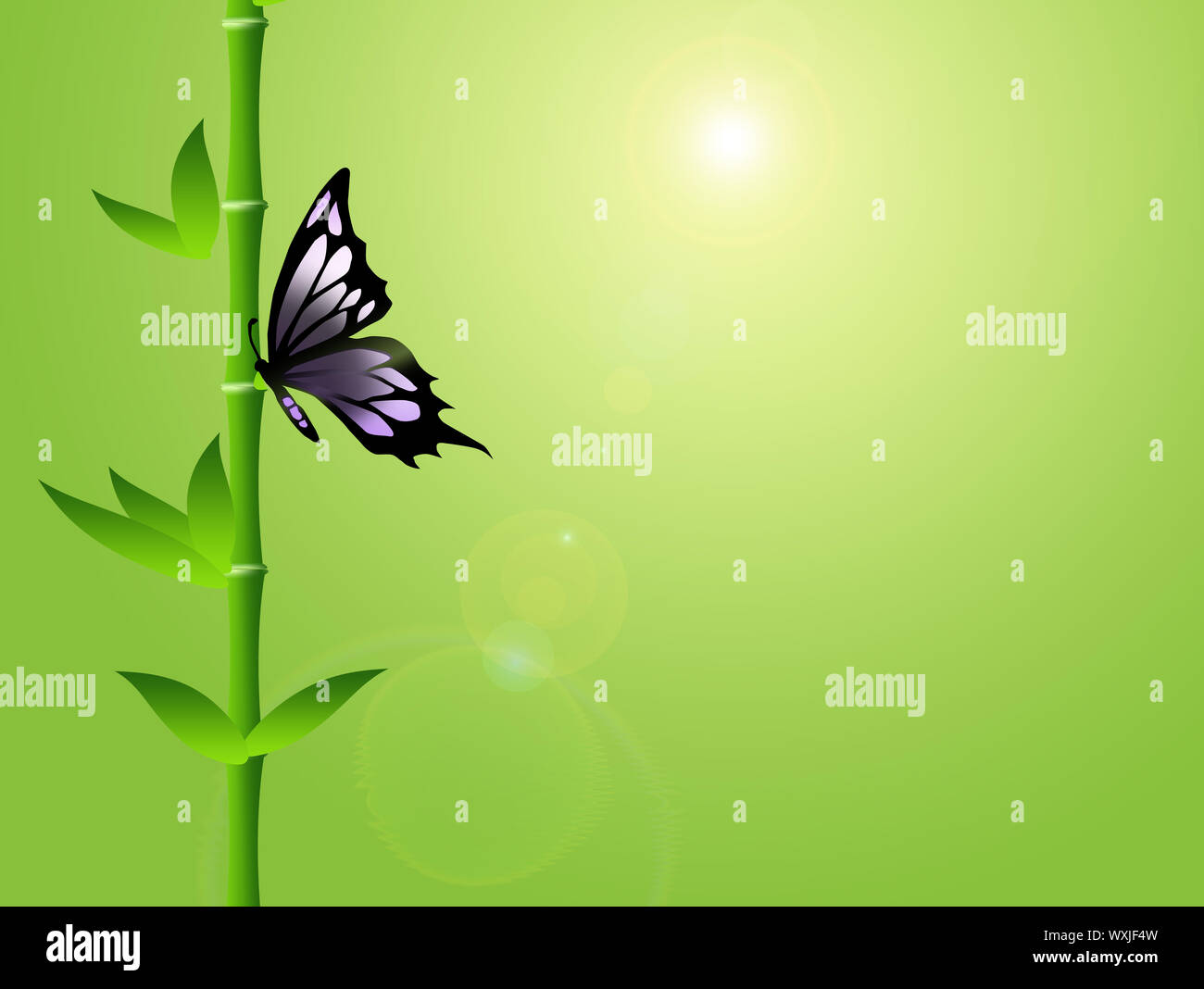 Butterfly on bamboo hi-res stock photography and images - Alamy