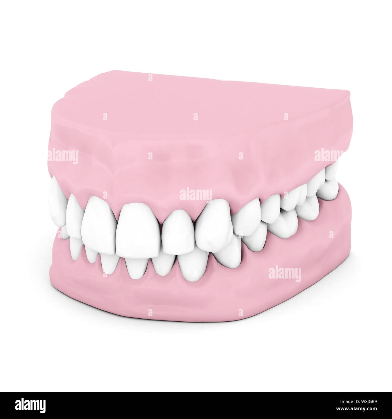 Dentures isolated on a white background Stock Photo - Alamy