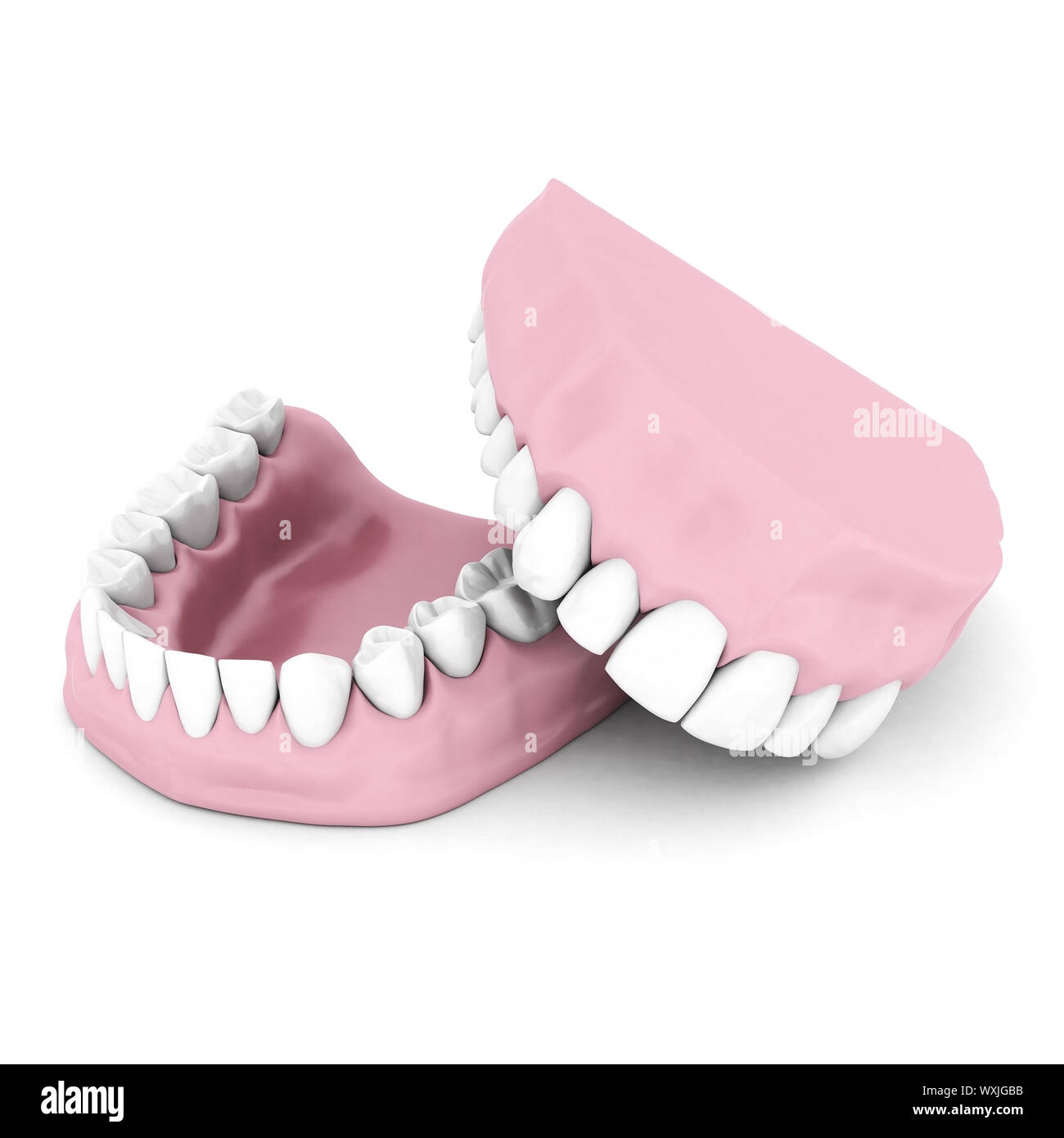 Dentures isolated on a white background Stock Photo - Alamy