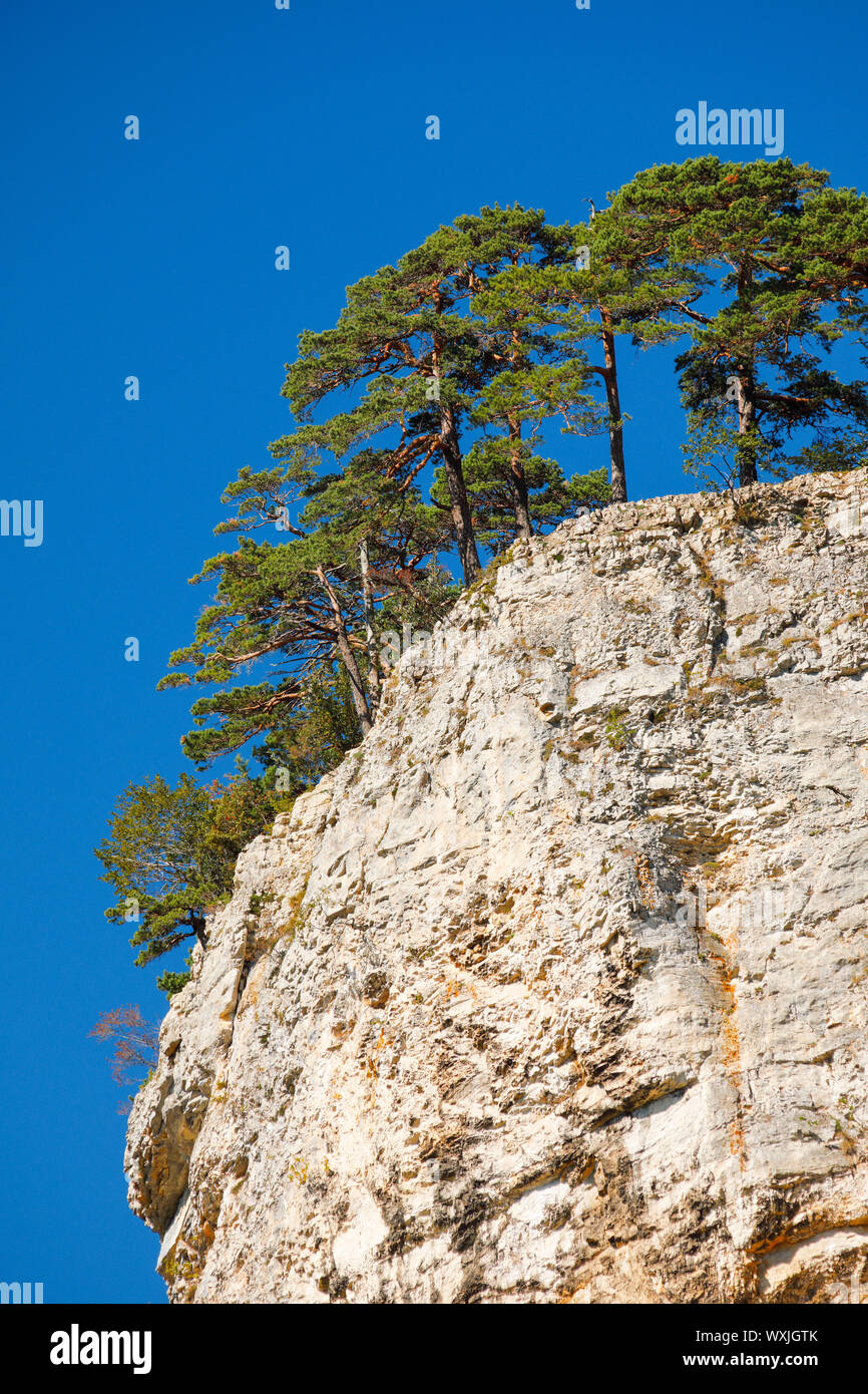 Rock tree landscape hi-res stock photography and images - Alamy
