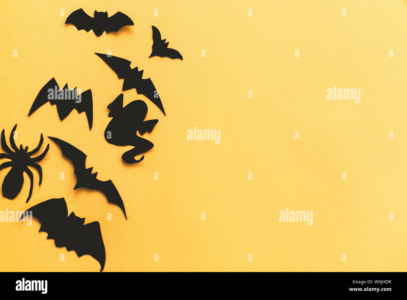 Black bats ghost spider hi-res stock photography and images - Alamy