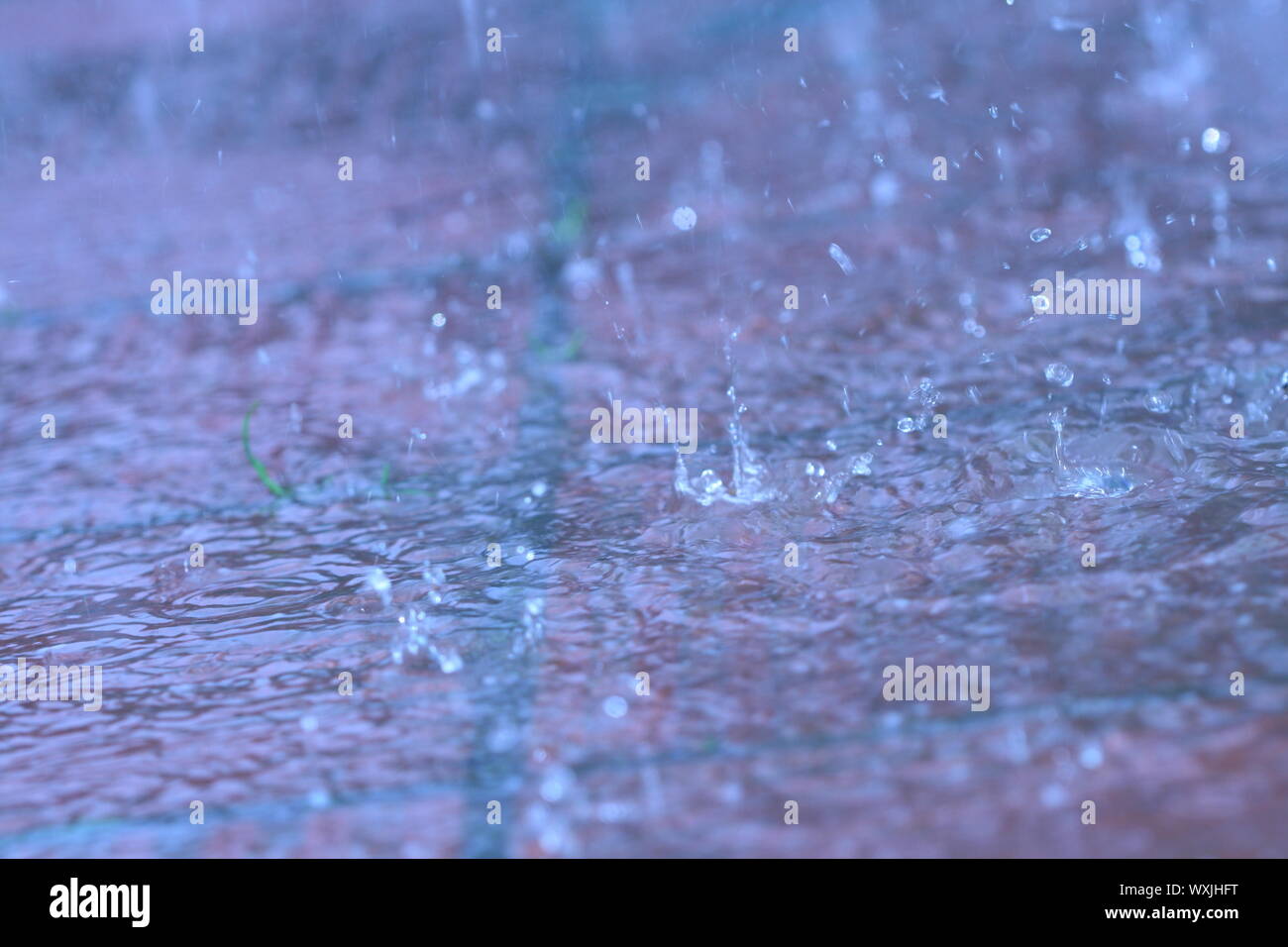 outdoor rain water fall from sky Stock Photo - Alamy