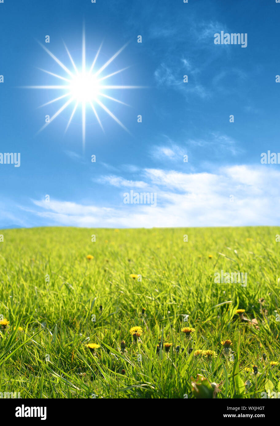 happy landscape sky and grass Stock Photo - Alamy