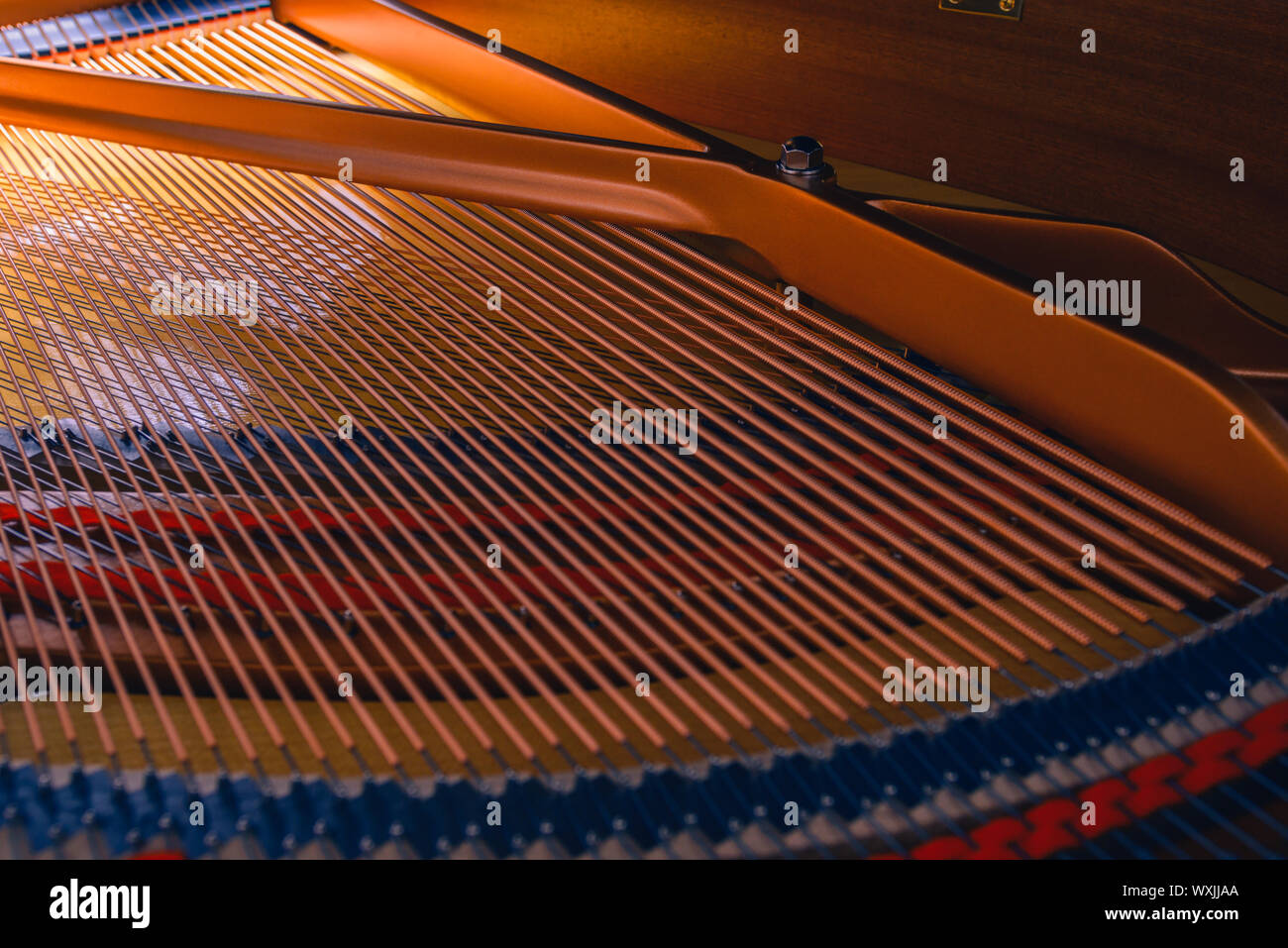 The interior of an black piano with all its details hammers,strings and ...