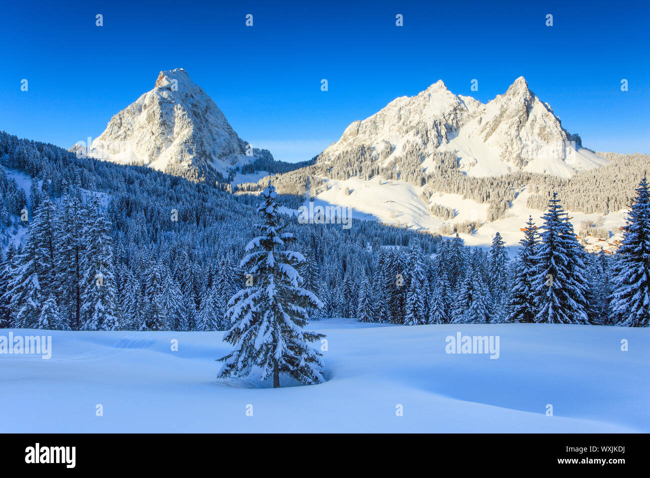 The mountains Grosser Mythen (also Grosse Mythe) and Kleiner Mythen in ...