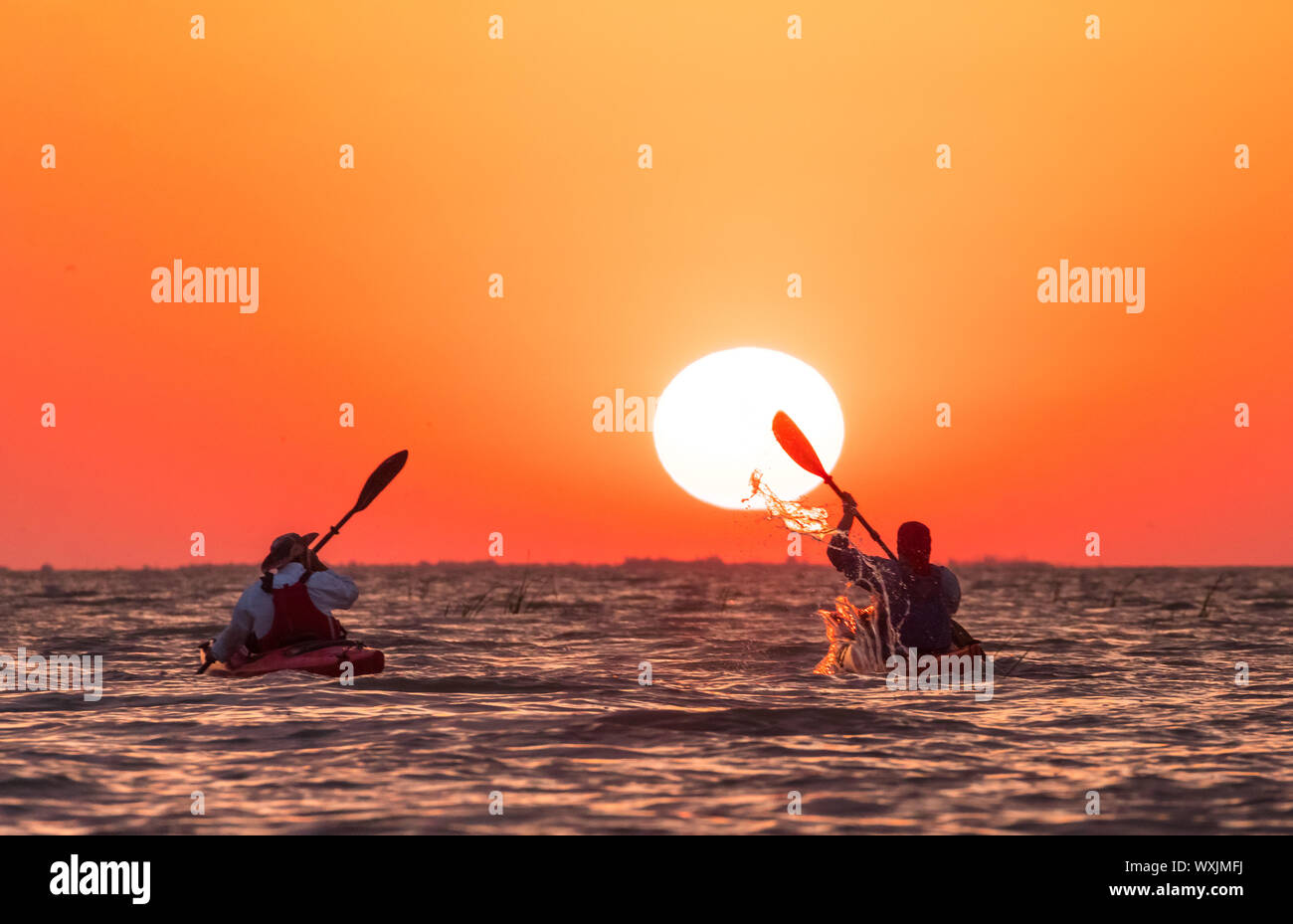 Man rowing a boat sunrise hi-res stock photography and images - Alamy