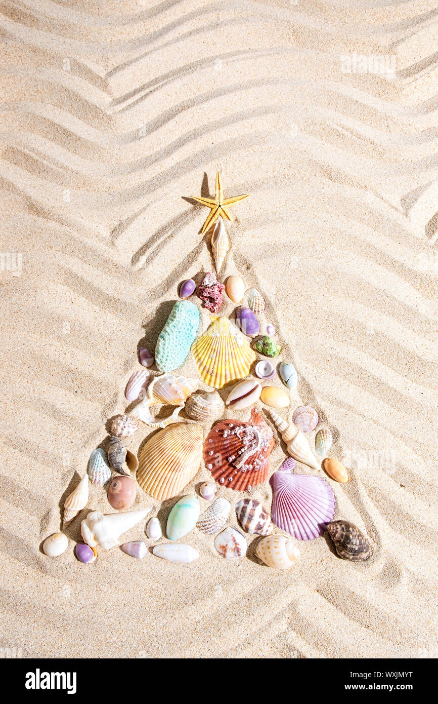 Christmas tree made from shells and corals on beach sand, flat lay ...