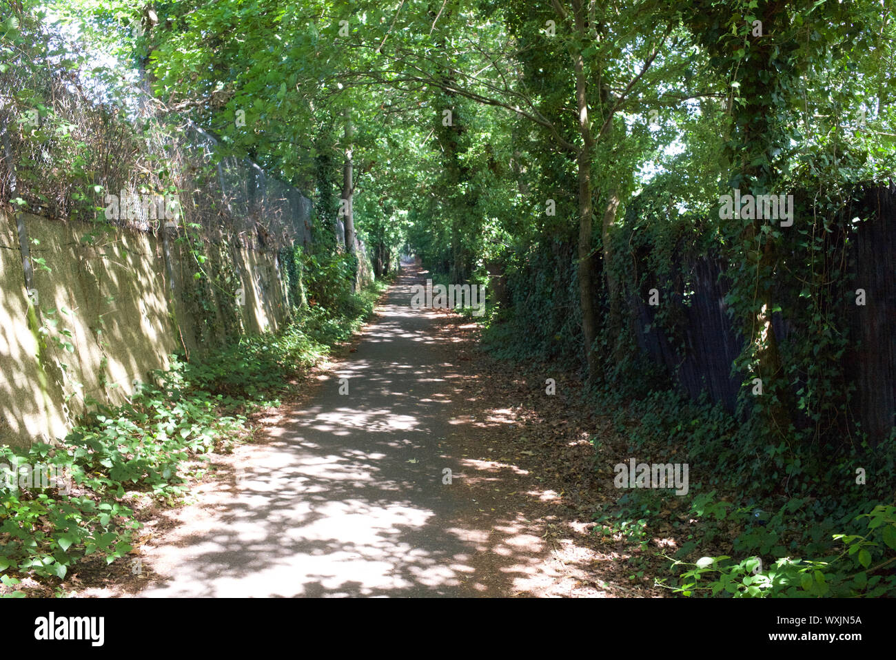 Esher railway station hi-res stock photography and images - Alamy