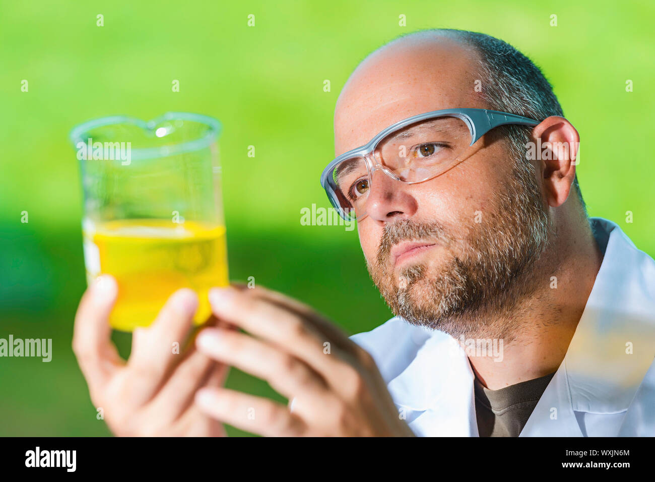 Scientific chemistry laboratory investigated in a liquid measuring cup ...