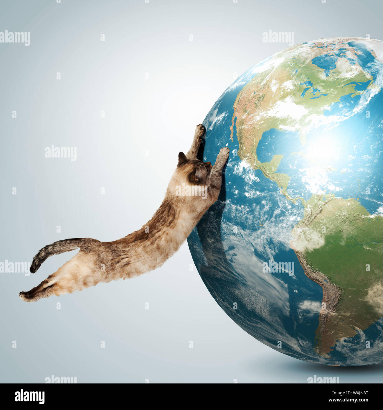 Mottled fur texture hi-res stock photography and images - Alamy
