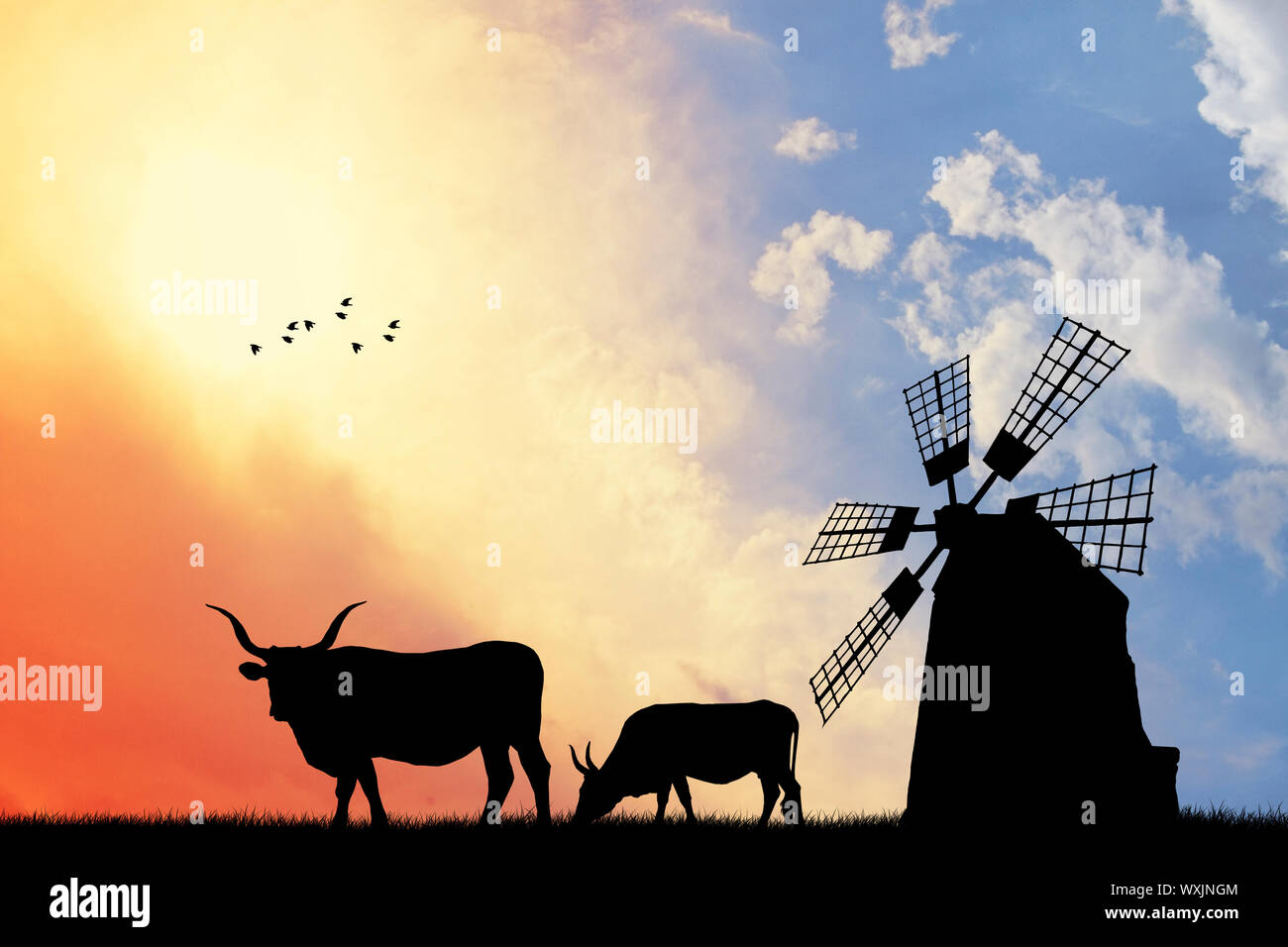 Silhouette of cows with windmill hi-res stock photography and images ...