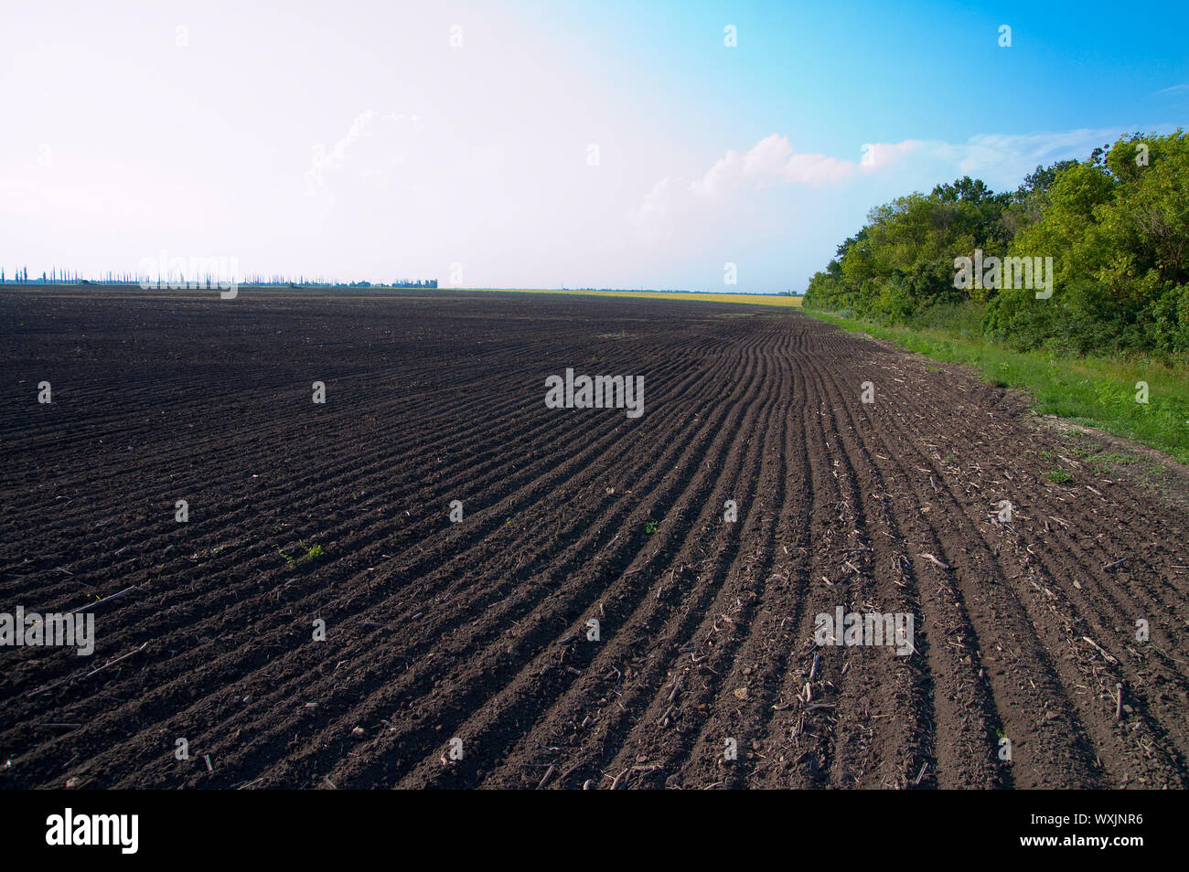 cultivated field after cultivation of land Stock Photo - Alamy