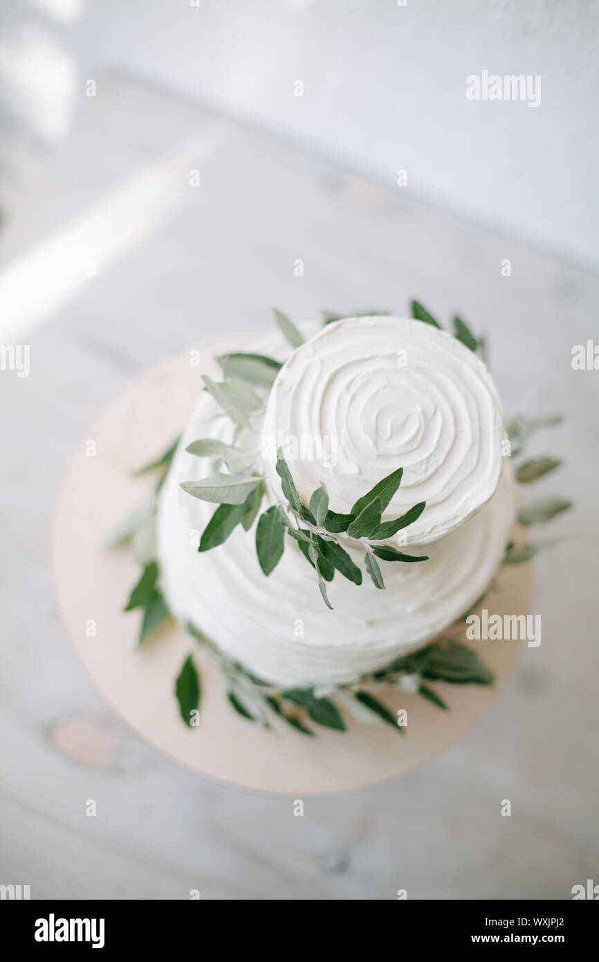 Overhead view of two tiered wedding cake with icing and olive branch ...