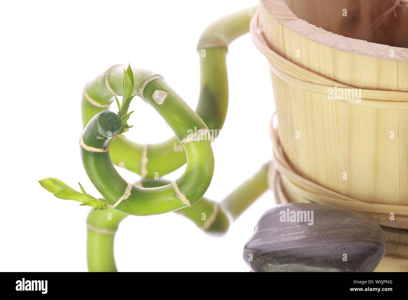 Spa still life with bamboo and stone isolated on white Stock Photo - Alamy