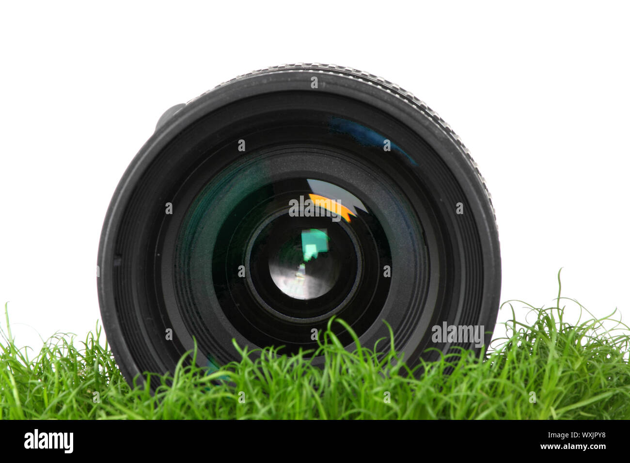 Lens on grass isolated on white background Stock Photo - Alamy
