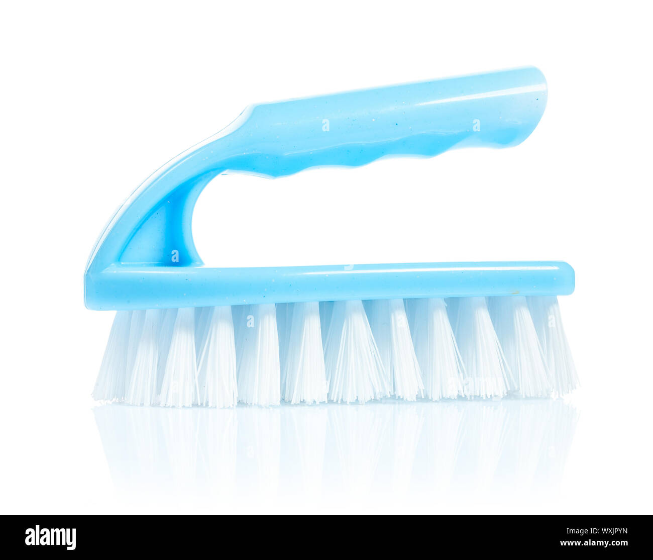 blue scrub brush Stock Photo - Alamy