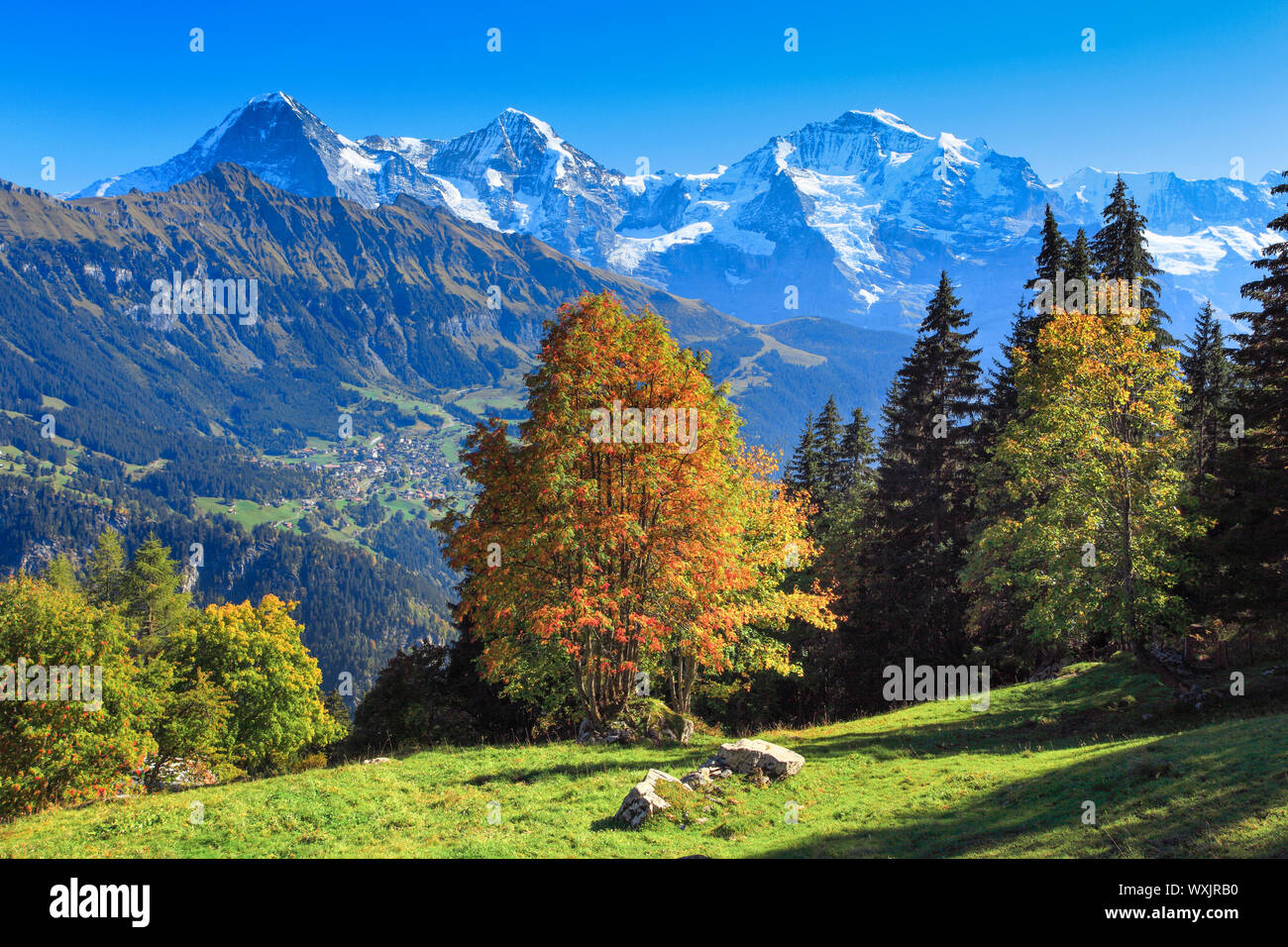 The mountains Eiger (3967 m), Moench (4107 m) and Jungfrau (4158 m ...