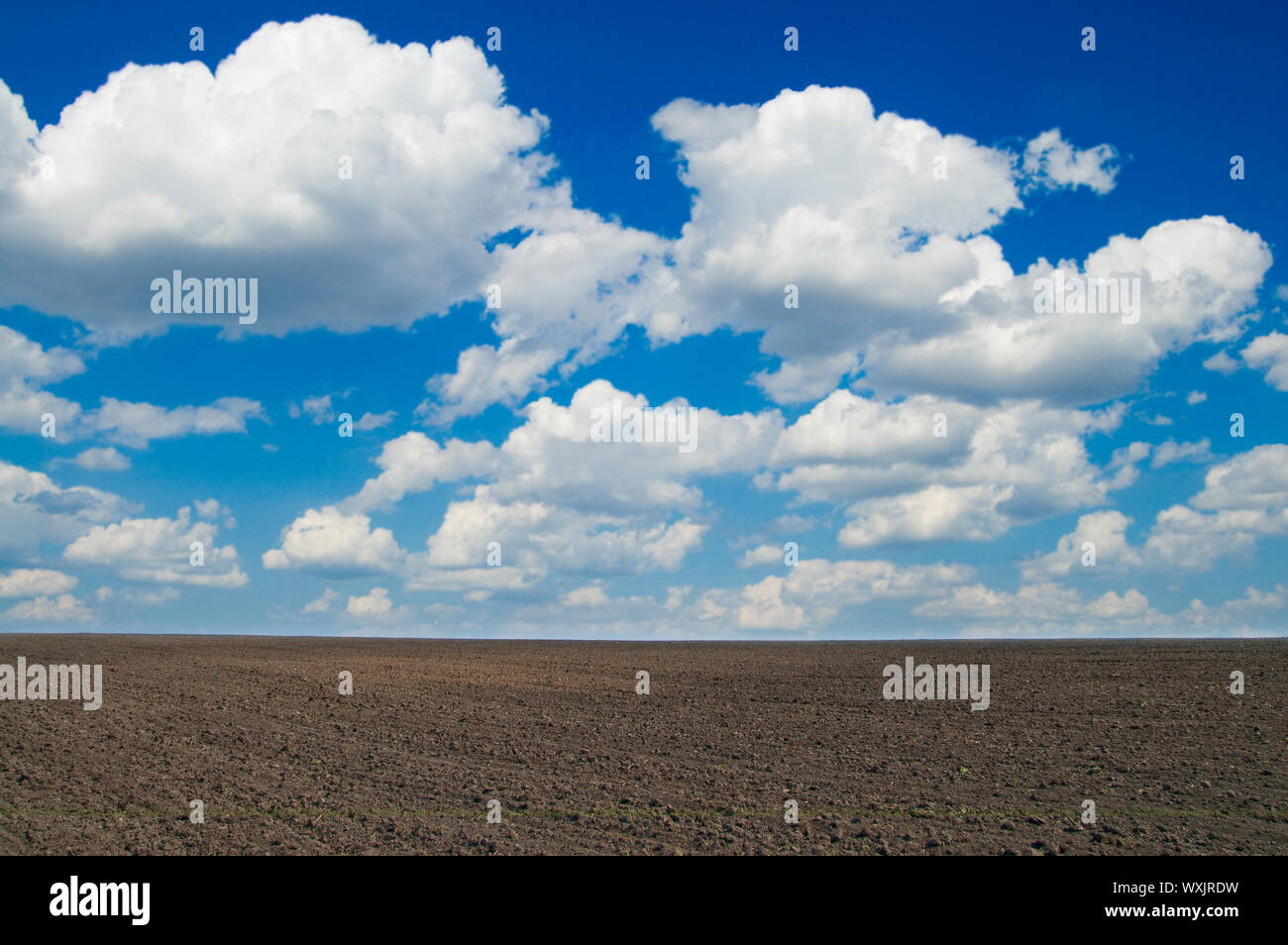 black field after harvesting under blue sky Stock Photo - Alamy