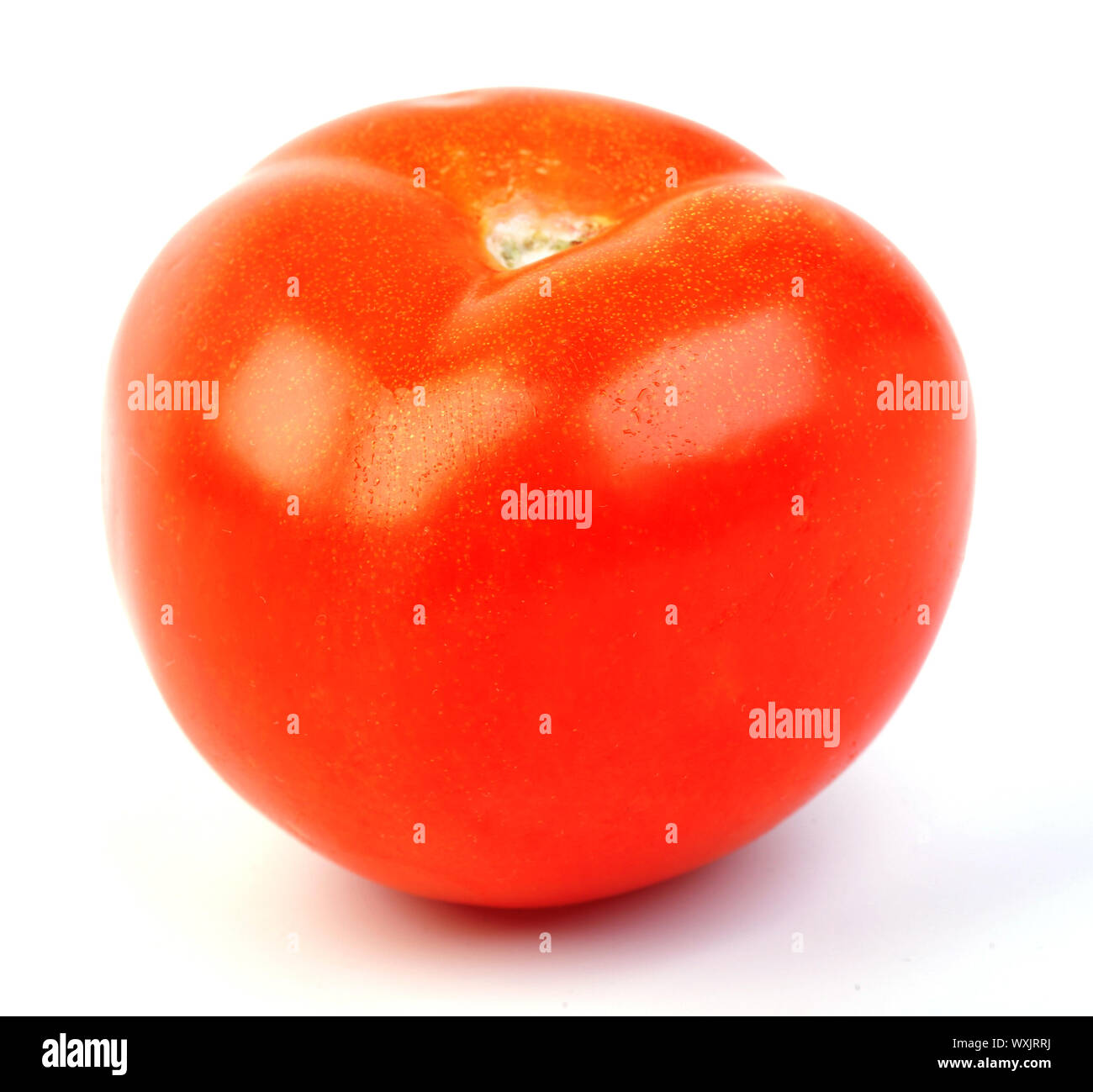 Tomato plant leaves close Cut Out Stock Images & Pictures - Alamy