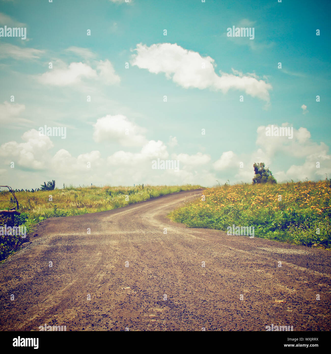 Landscape of the road to the hill with retro filter effect Stock Photo ...