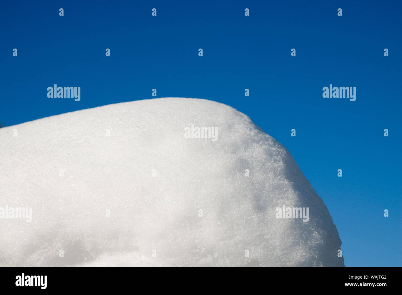 White albedo hi-res stock photography and images - Alamy