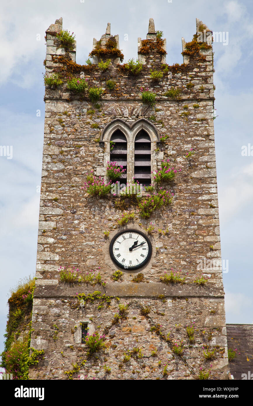 Torre del Black Castle. Pueblo Inistioge. Condado de Kilkenny. Sureste ...