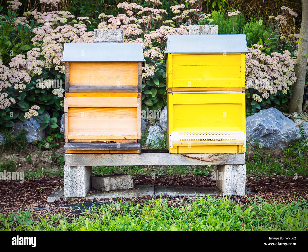 Picture of two been boxes in the nature Stock Photo - Alamy