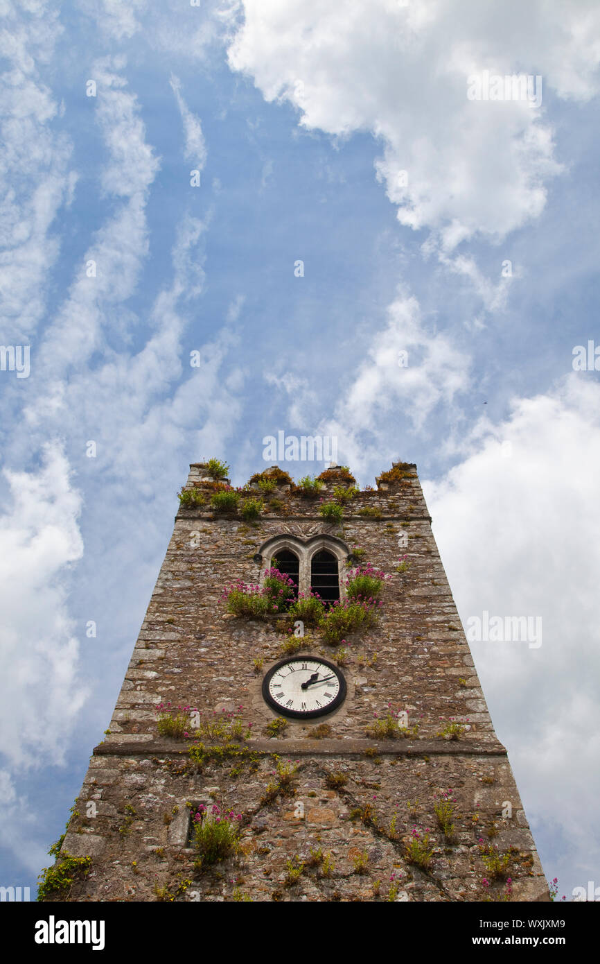 Torre del Black Castle. Pueblo Inistioge. Condado de Kilkenny. Sureste ...