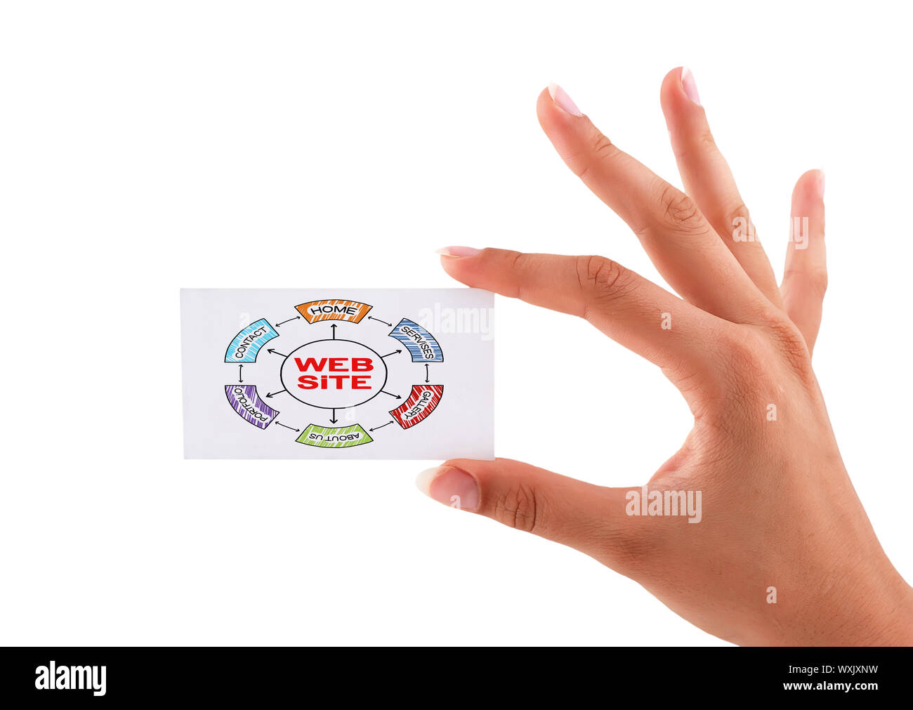 business card with scheme website in hand Stock Photo - Alamy