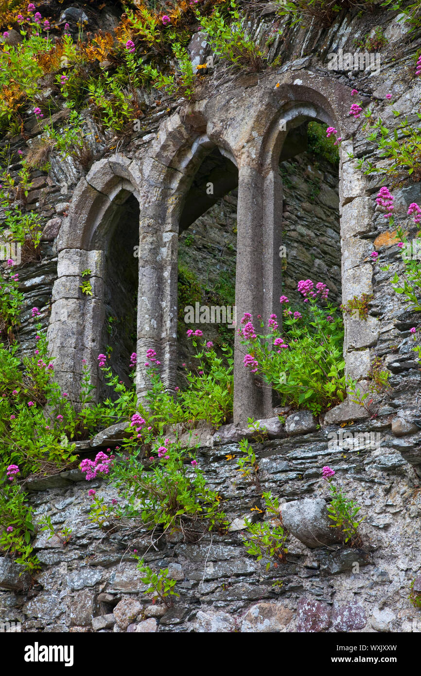 Torre del Black Castle. Pueblo Inistioge. Condado de Kilkenny. Sureste ...