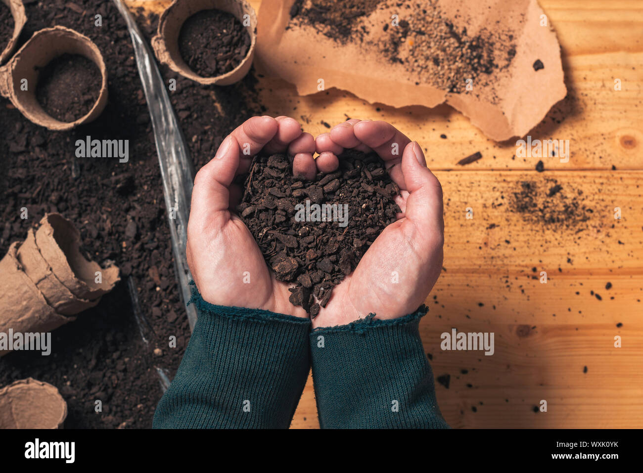 Gardener handful of soil in cupped hands above the garden table with ...