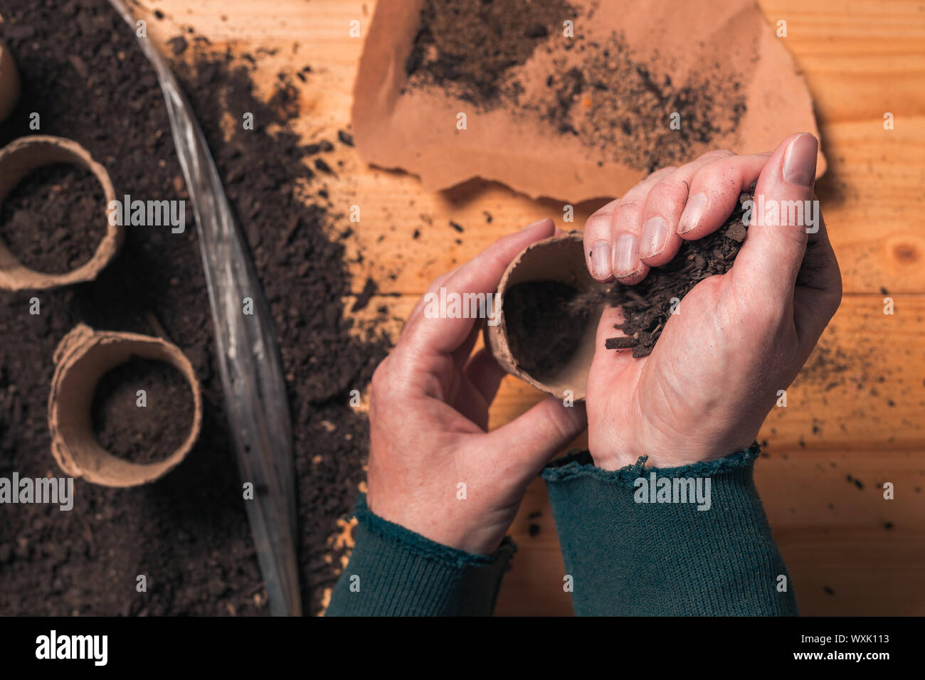 Gardener filling biodegradable soil pot container ready for sowing and ...