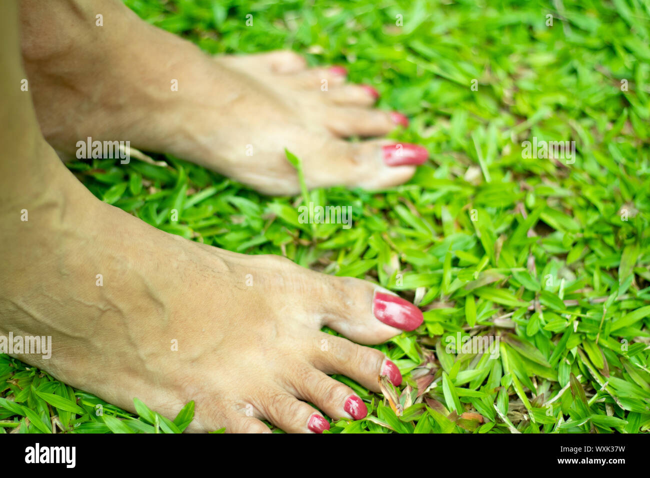 Woman Feet Walking on Fresh Green Grass Stock Photo - Alamy