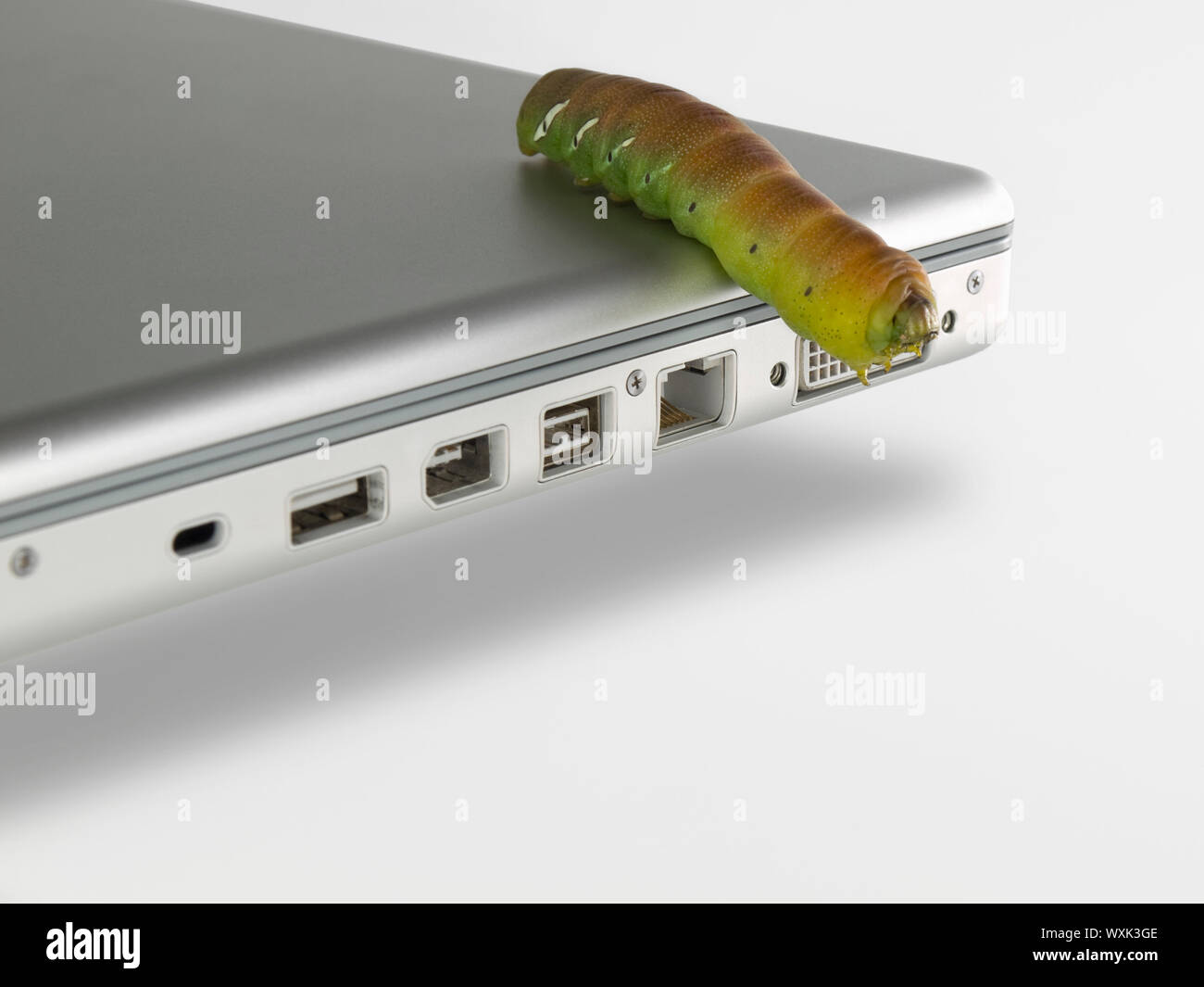 Computer worm image hi-res stock photography and images - Alamy