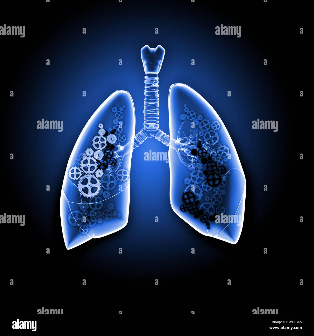 Larynx scan hi-res stock photography and images - Alamy